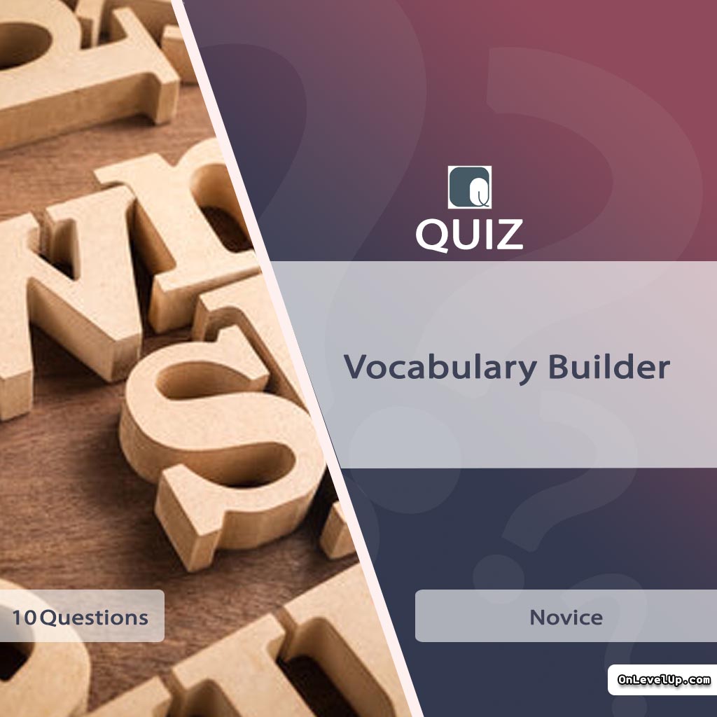 Vocabulary Builder - On Level Up